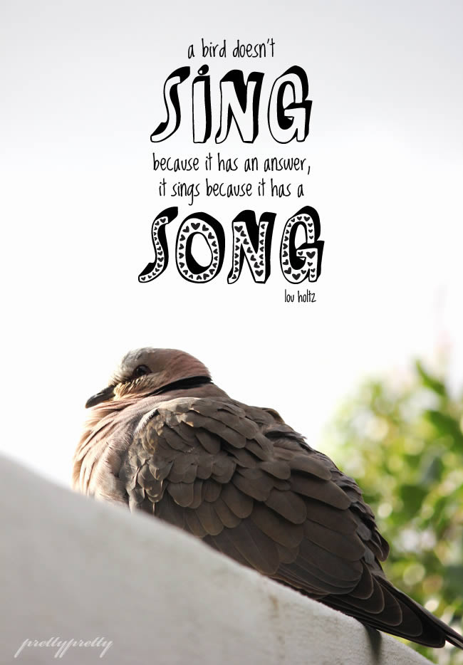 Bird Song - Pretty Pretty